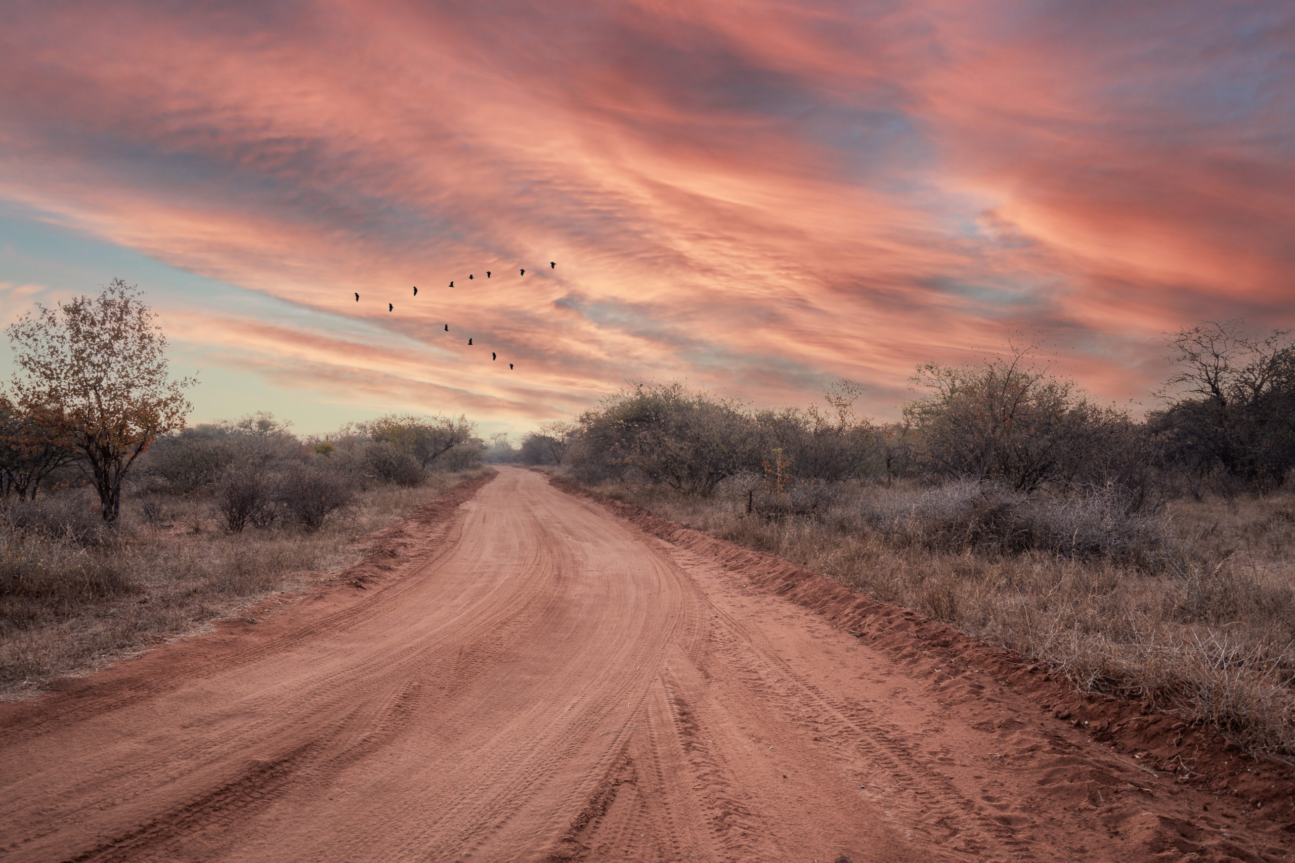 Botswana, nouvelle étoile des safaris de luxe en 2026 - Socialize Magazine